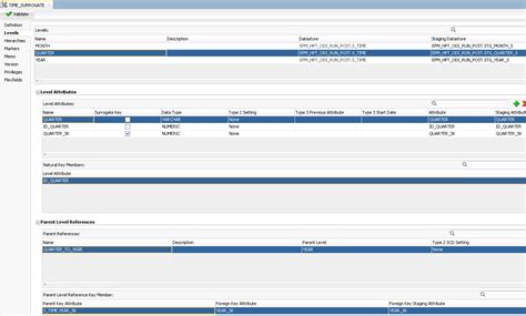 Odi 12c New Features Dimension And Cubes Part 3 Settings For
