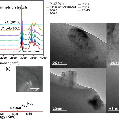 A Raman Spectra Of Pristine Pdms Black Curve And Pdms Nanocomposite Download Scientific
