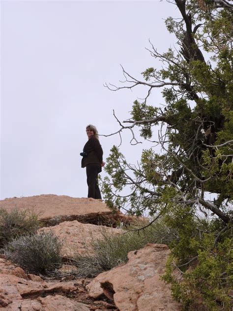 Pin By Lisa Day On The Many Faces Of Lisa Day Country Roads Photo Scenes