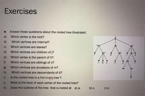 Solved Exercises Answer These Questions About The Rooted