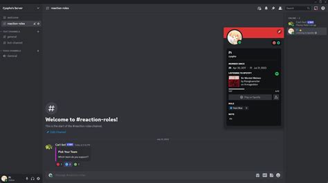 چگونه با استفاده از carl bot نقش‌های واکنشی در discord ایجاد کنیم خبر
