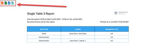 how do i export a report entuity