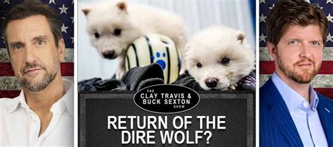 Bringing Back the Beast: The Return of the Dire Wolf