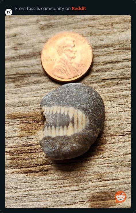 Theyre Already Here Rlv426