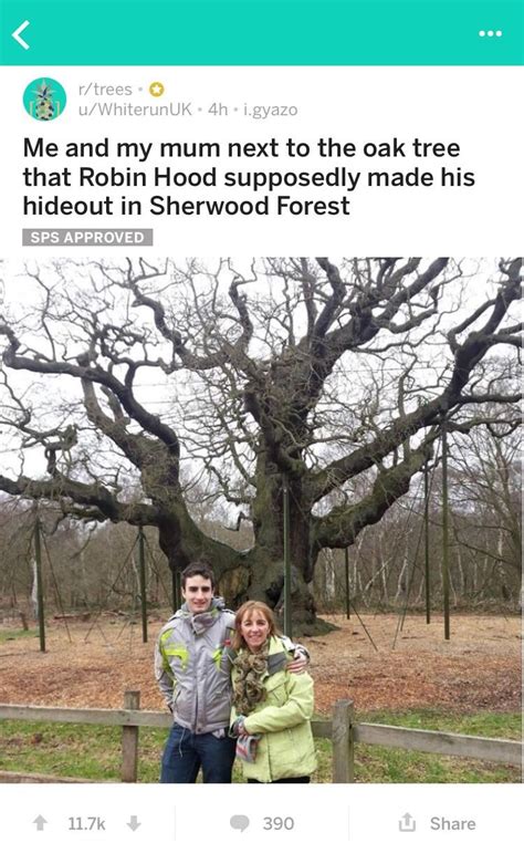When Youre Too Wholesome And Innocent For R Trees R Wholesomememes