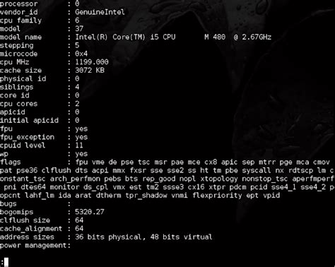 Descobrindo informações sobre o processador de seu computador com lscpu Bóson Treinamentos em