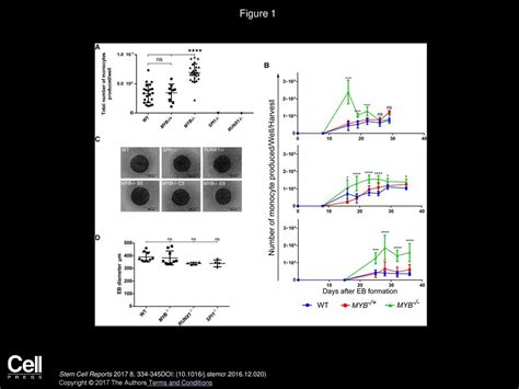 Human Induced Pluripotent Stem Cell Derived Macrophages Share Ontogeny
