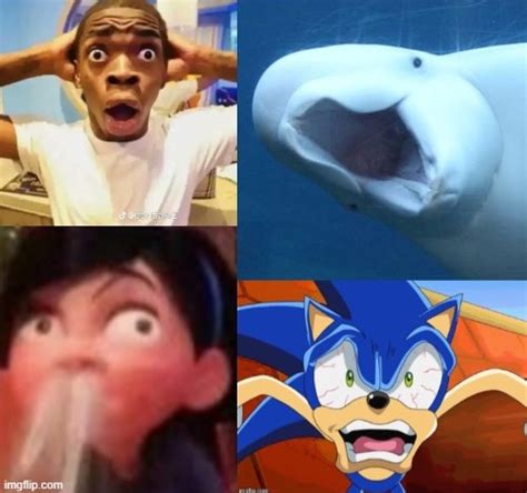 Super Surprised Blank Template Imgflip