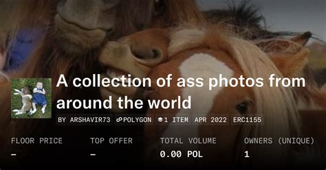 A Collection Of Ass Photos From Around The World Collection Opensea