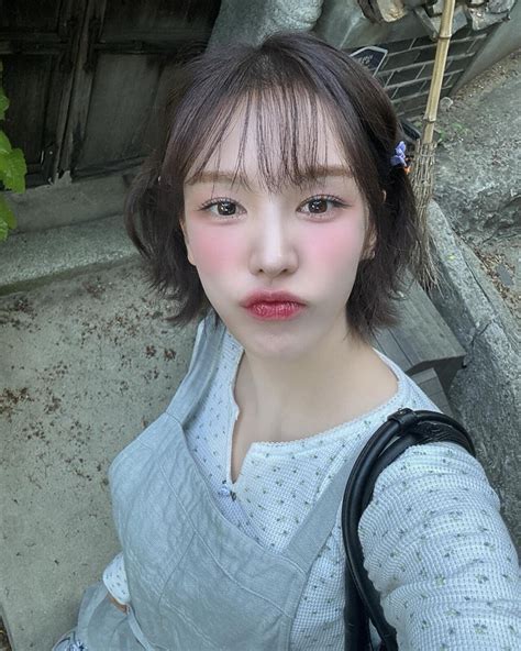 와 자유 에펨코리아