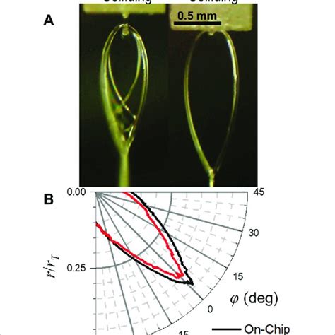 A Liquid Sheets Produced By An On And Off Chip Colliding Nozzle With