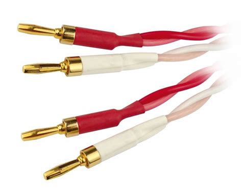 Dynavox Perfect Sound Loudspeakercable 2 5mmÂ² 2x2m Audiostatus