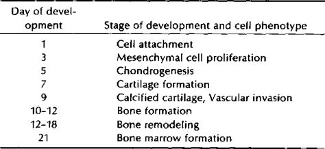 Figure 1 From Appearance Of Fibronectin During The Differentiation Of Cartilage Bone And Bone