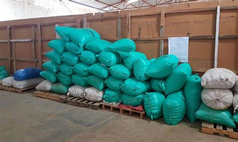 The Best Ways To Store Green Coffee Beans Mtpak Coffee