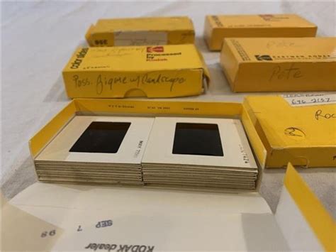 Jim Morrison Mary Werbelow Artist And Jim Morrisons Mutualart