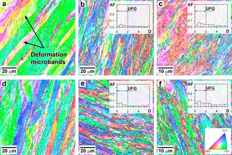 Deformation Microstructures And Grain Size Distributions Evolved In The