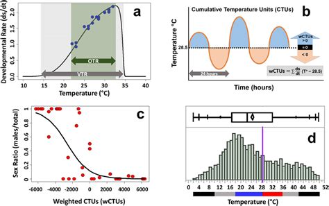Components Of The Novel WCTU Model Of Development And Sex Determination Download Scientific