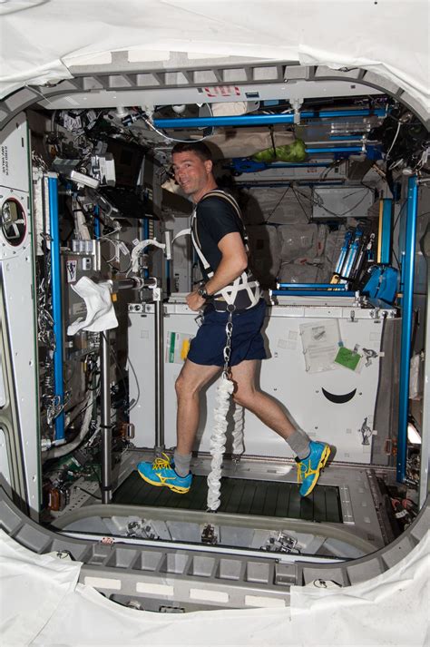 Astronauts Exercising In Space