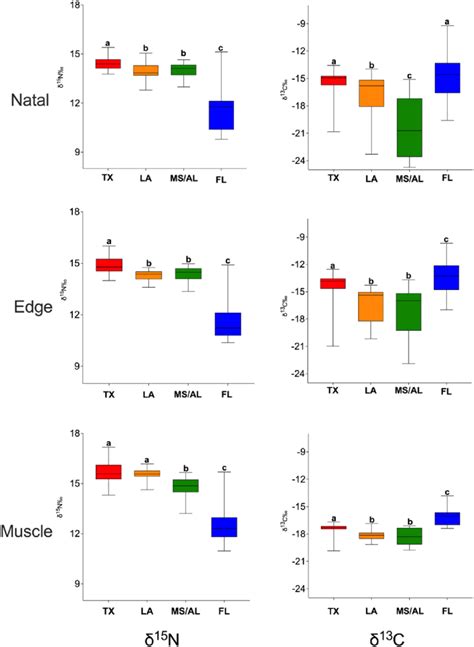 boxplots comparing regional δ 15 n left and δ 13 c right values in