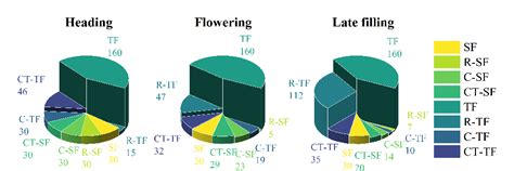 Figure 4 From Combining Features Selection Strategy And Features Fusion Strategy For Spad