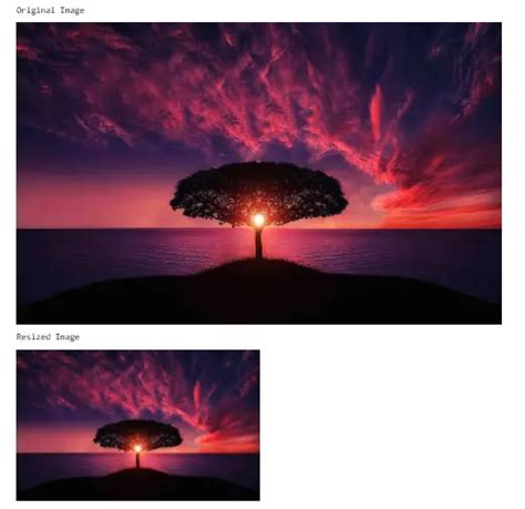 Image Resize In Python Delft Stack