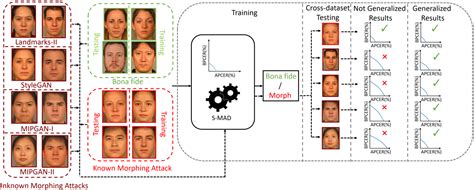 논문 리뷰 Generalized Single Image Based Morphing Attack Detection Using Deep Representations From