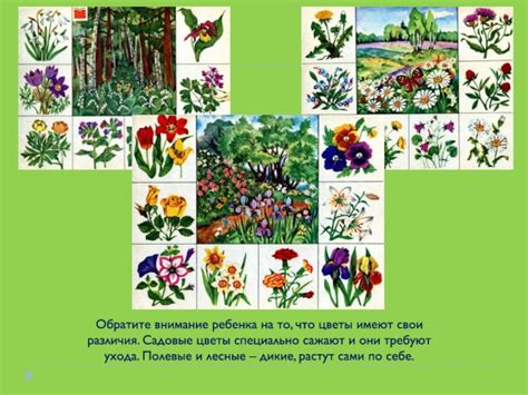 Презентация для детей 6 лет цветы 93 фото