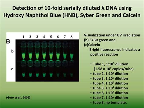 Lamp Loop Mediated Isothermal Amplification Pptx Infectious Diseases Diseases And Conditions