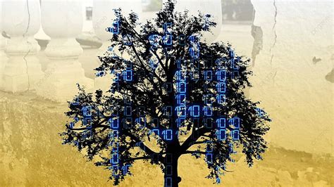 Tree And Binary Code In A D Illustration With Mixed Media Photo Background And Picture For Free