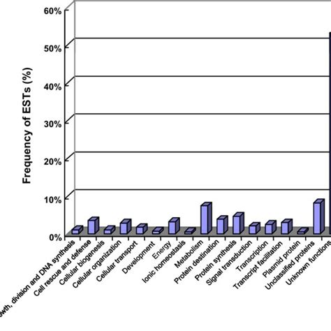 Functional Categorization Of The Blast Results Of The Subtractive Download Scientific Diagram
