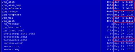 Is It Safe To Delete Old Postgresql Directories How To Use Gitlab Gitlab Forum