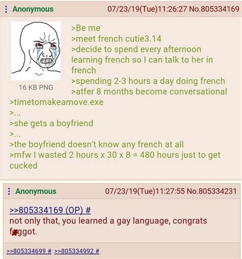 anon learns french r greentext