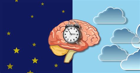 Circadian Rhythms When Are You At Cognitive Peak Big Think