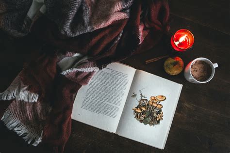 Королевства Сары Дж. Маас | Город Полумесяца | ВКонтакте