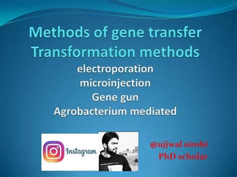 Gene Transfer Methods Ppt
