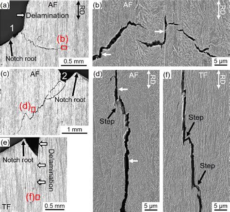 Relationship Between The Crack Path And The Microstructure In The Af Download Scientific
