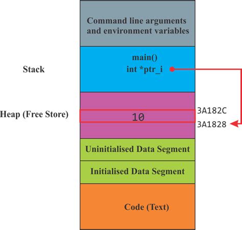 Pointer Dynamic Memory Memory Management Learn To Codes