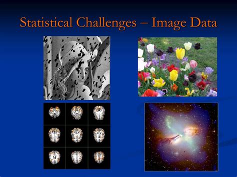 Ppt Introduction To Biostatistics Zju 2008 Powerpoint Presentation Id5500892