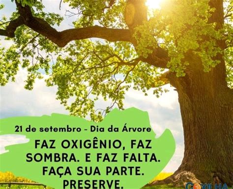 21 De Setembro Dia Da Árvore 🌳 Shayene Ariene Rossi