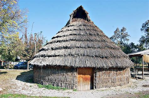 Nota Mapuches Los Guerreros De La Patagonia