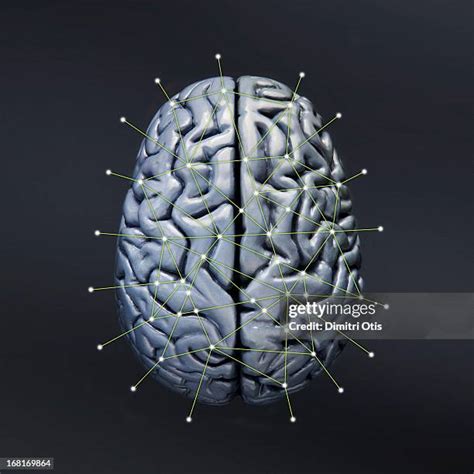 Neurological Pathways Photos And Premium High Res Pictures Getty Images