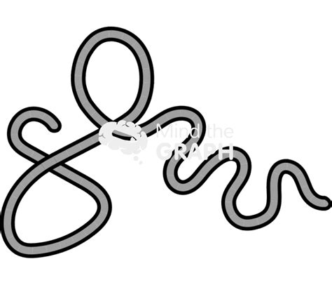 Protein Folding 6