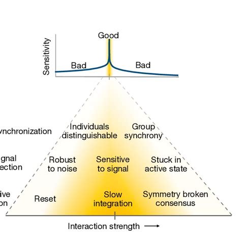 Biological Function Near A Continuous Phase Transition A A