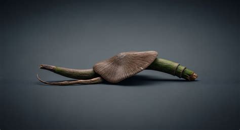 Systemic Inequalities → Term