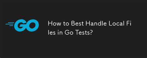如何在 go 測試中最好地處理本地文件？ golang php中文網