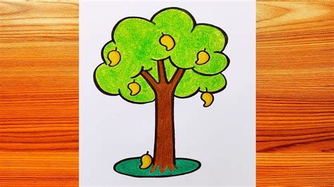 Mango Tree Drawing Colour At Stephanie Kingston Blog