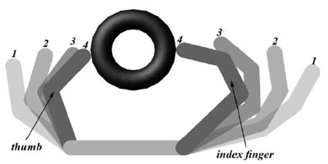 Circular Object Grasping Sec Intervals Download Scientific Diagram
