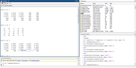 Matlab How Do I Easily View The Contents Of Each Entry Of A X Y Z Array In The Workspace