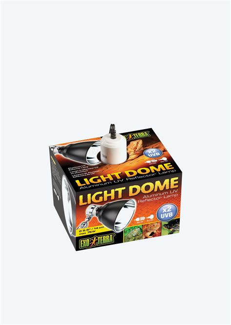 Reflector Light Dome Light Fixture