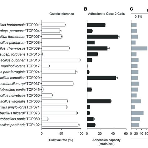 The Evaluation Of Probiotic Properties Of Lactic Acid Bacteria A The Download Scientific